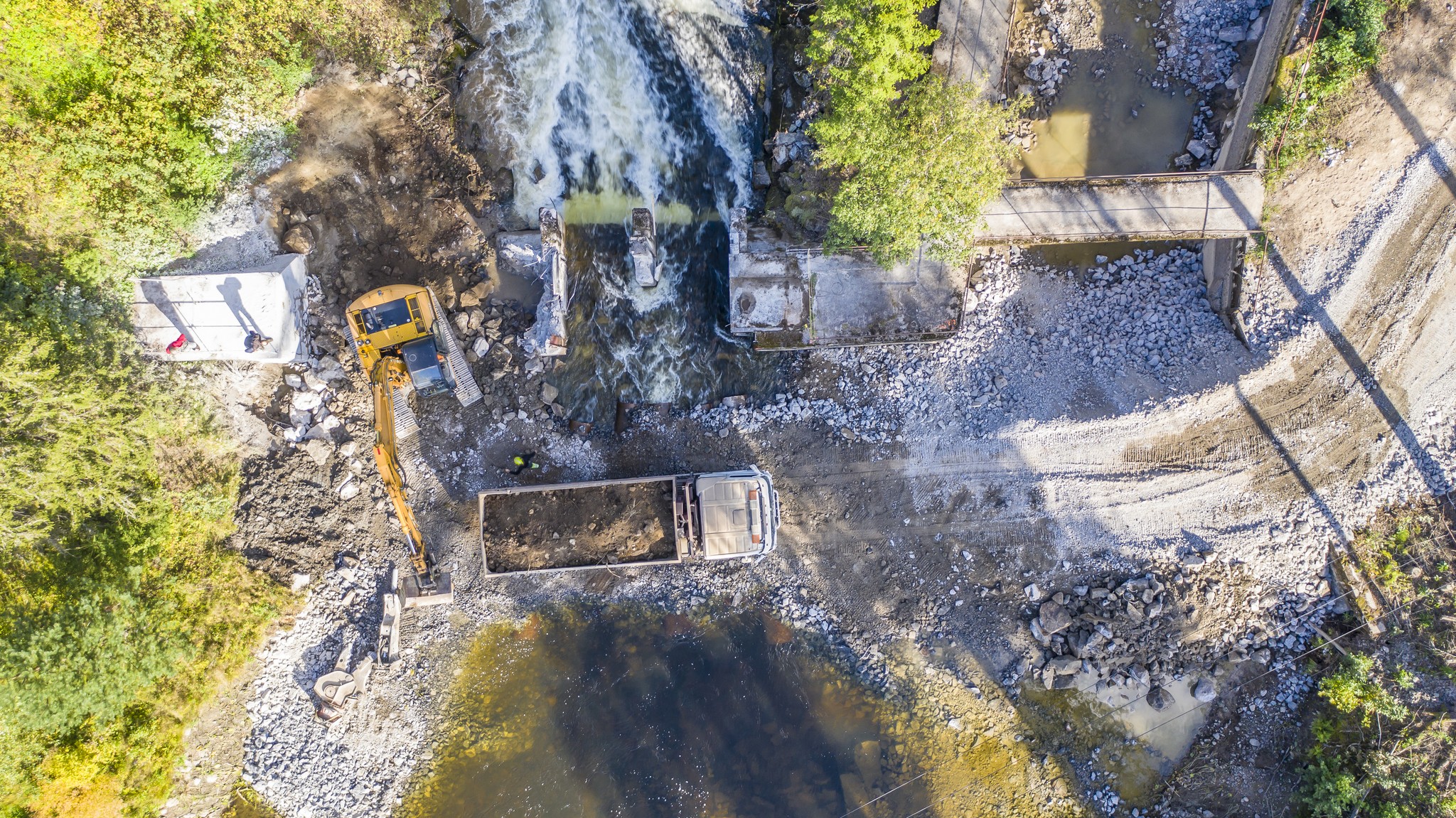 Yritys kaataa EU:n ennallistamisasetus epäonnistui – ”Luonto kiittää ...
